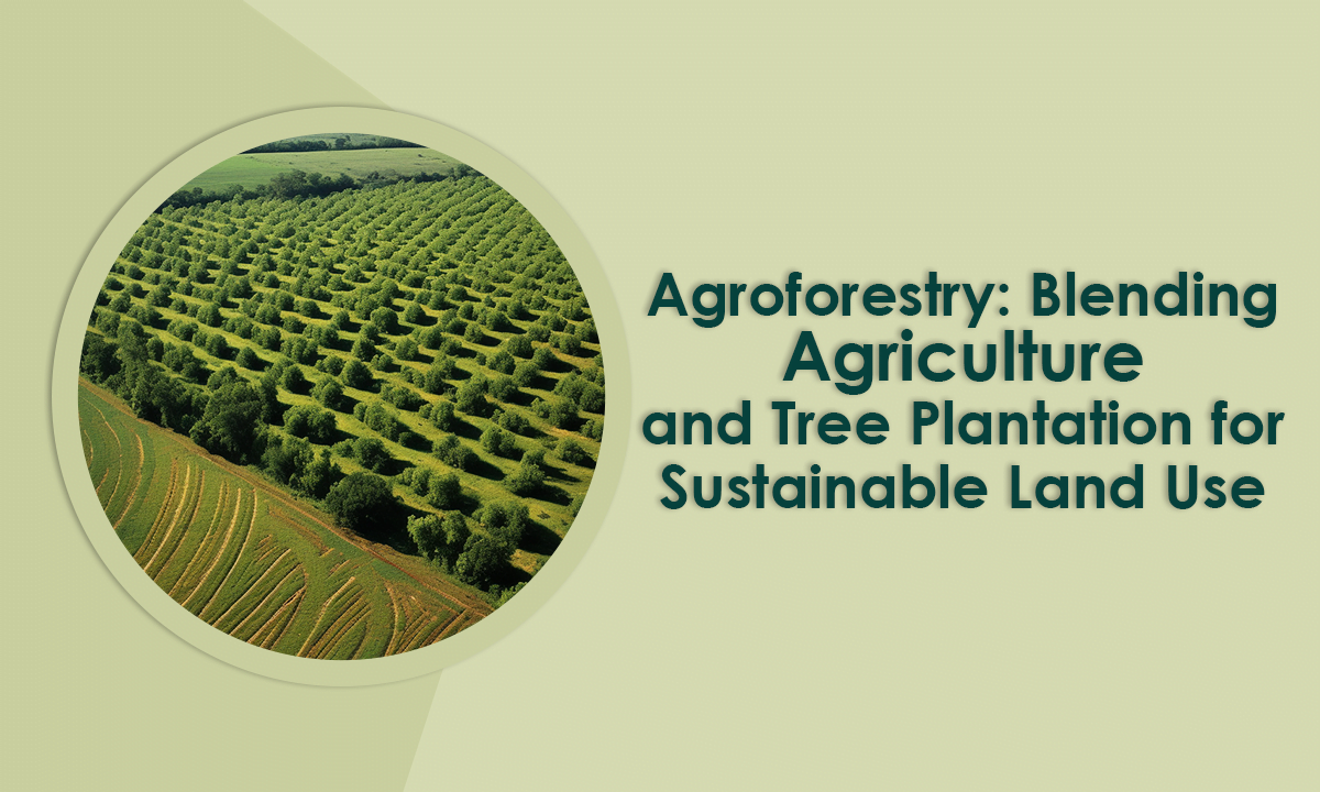 Agroforestry: Blending Agriculture and Tree Plantation for Sustainable ...